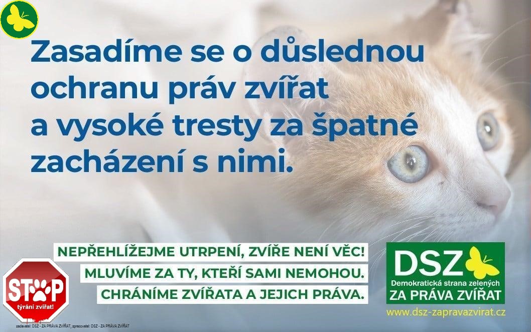 Prohlášení DSZ – ZA PRÁVA ZVÍŘAT k petici požadující nepodmíněný trest ...